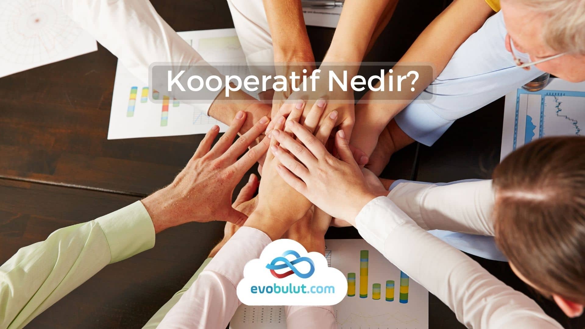 Kooperatif Nedir? | Evobulut